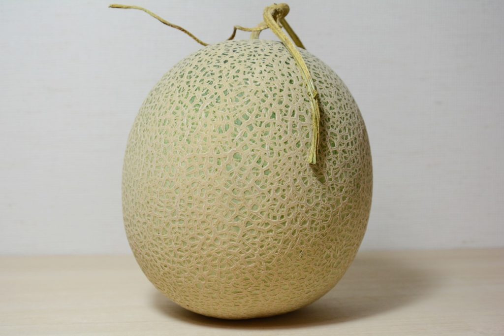 【Makanan Hokkaido Kyowa】Raiden Melon らいでんメロン(北海道共和町) – 【47都道府県制覇の旅 離島まで ...