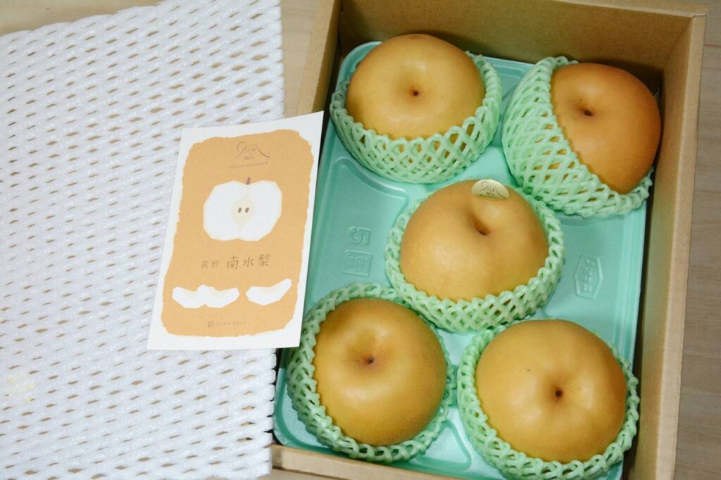 南水梨は甘さが強く美味しい Nansui Pear Sangat enak – Japan Indonesia Blog