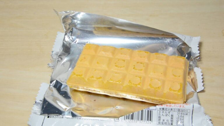 チョコ最中ジャンボ 冬限定 チョコレート増量 chocolate monaka Jumbo ice cream – 【47都道府県制覇の旅 ...